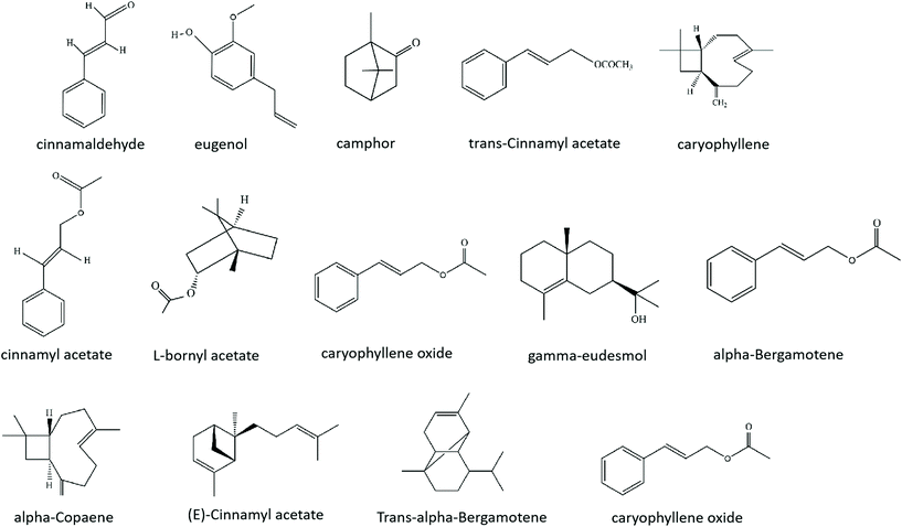 Beneficial effects of cinnamon and its extracts in the management of ...