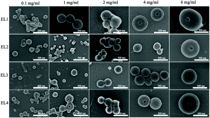 Structural and molecular-weight-dependency in the formation of lignin ...