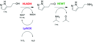 Biocatalytic access to betazole using a one-pot multienzymatic system ...