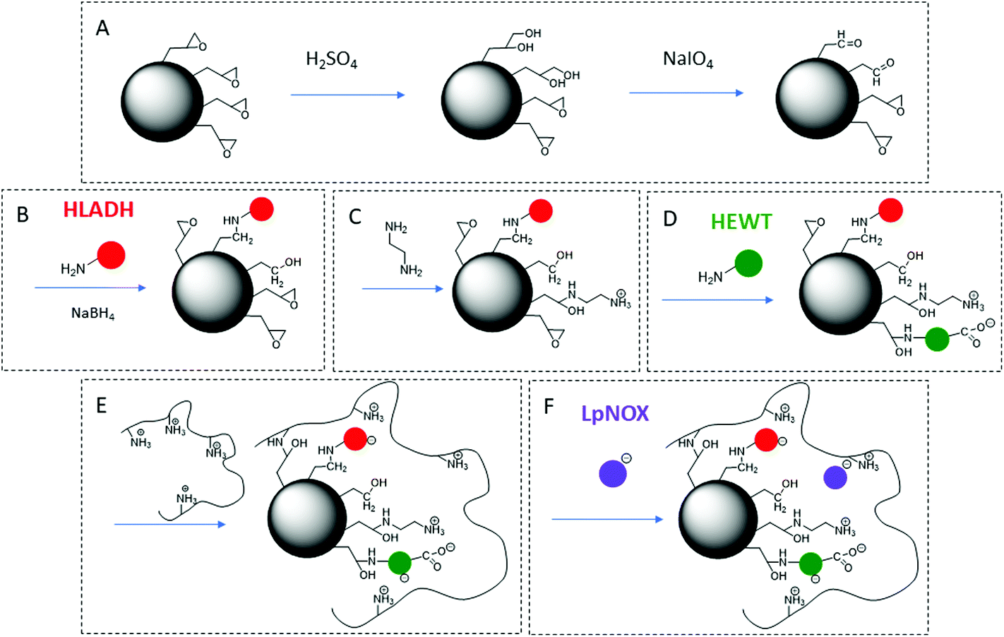 Biocatalytic access to betazole using a one-pot multienzymatic system ...