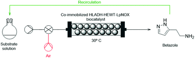 Biocatalytic access to betazole using a one-pot multienzymatic system ...
