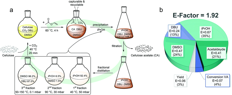 A more sustainable synthesis approach for cellulose acetate using the ...