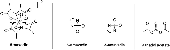Determination of the naturally occurring vanadium-complex amavadin in ...