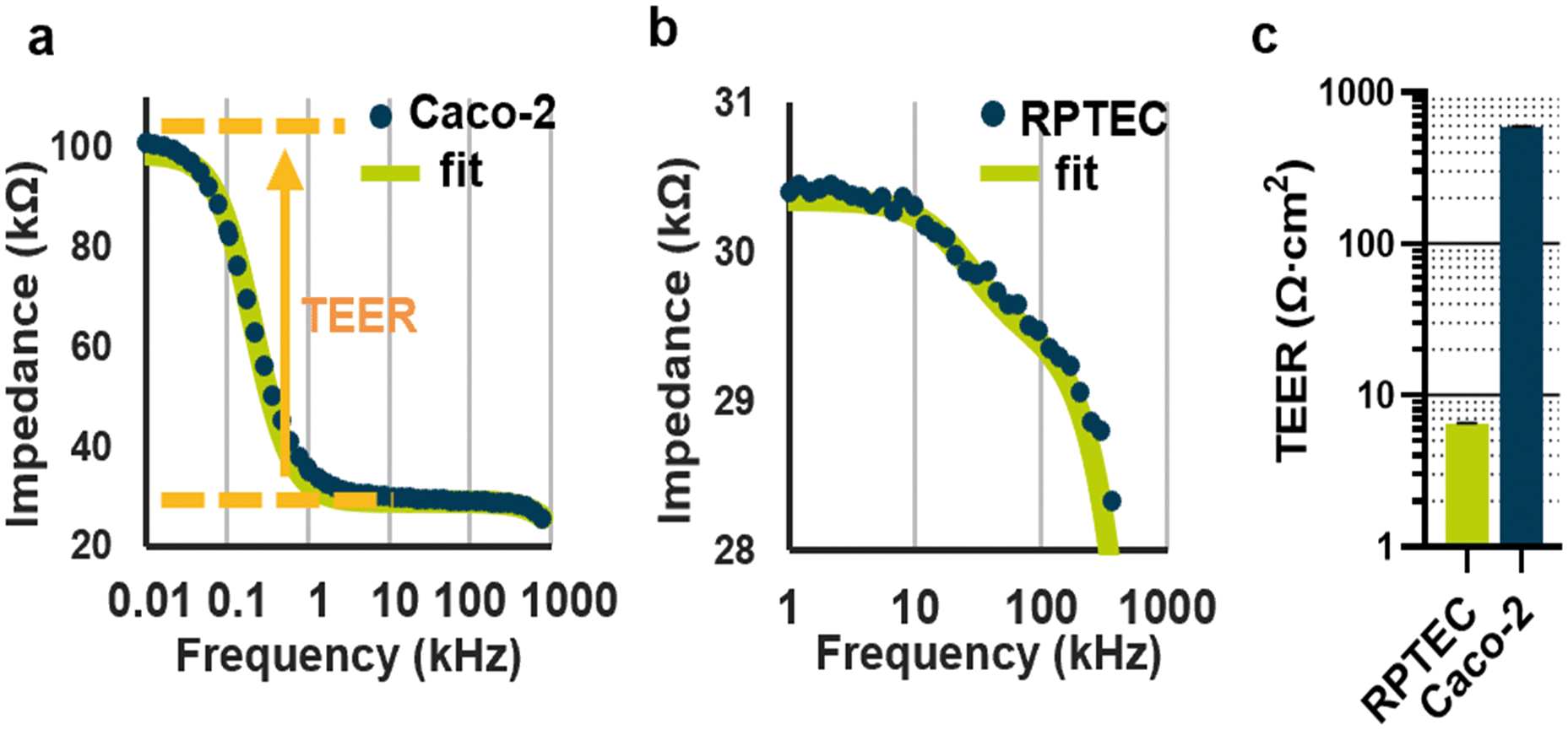 High throughput transepithelial electrical resistance (TEER) measurements on perfused membrane ...