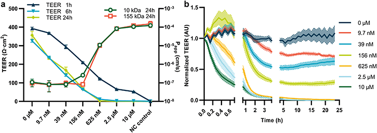 High throughput transepithelial electrical resistance (TEER ...