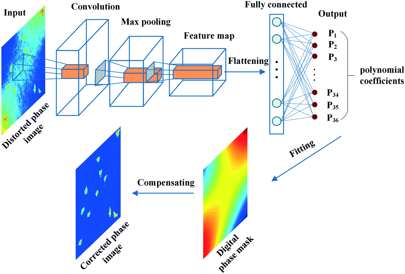Sensing morphogenesis of bone cells under microfluidic shear stress by ...