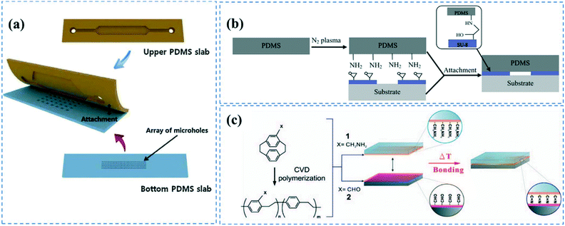 Conventional and emerging strategies for the fabrication and ...