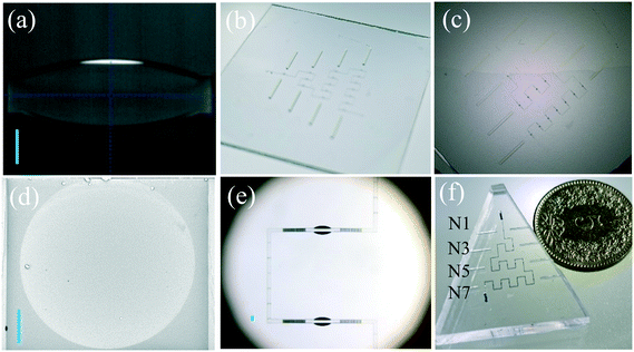 A 3D-cascade-microlens optofluidic chip for refractometry with ...