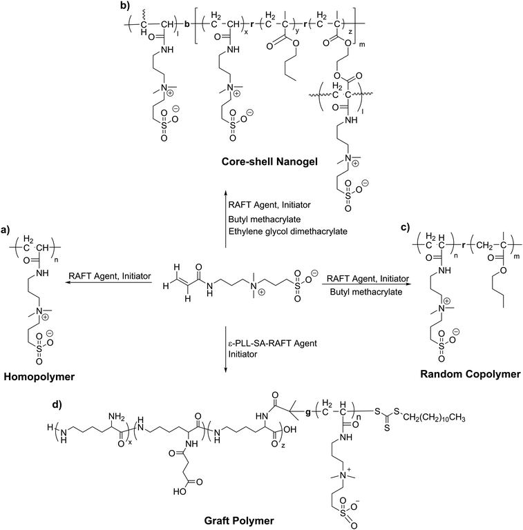 Review of the current state of protein aggregation inhibition from a ...