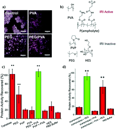 Review of the current state of protein aggregation inhibition from a ...