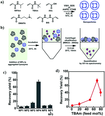 Review of the current state of protein aggregation inhibition from a ...