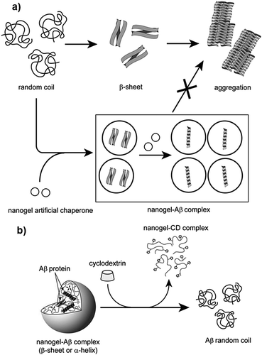 Review of the current state of protein aggregation inhibition from a ...