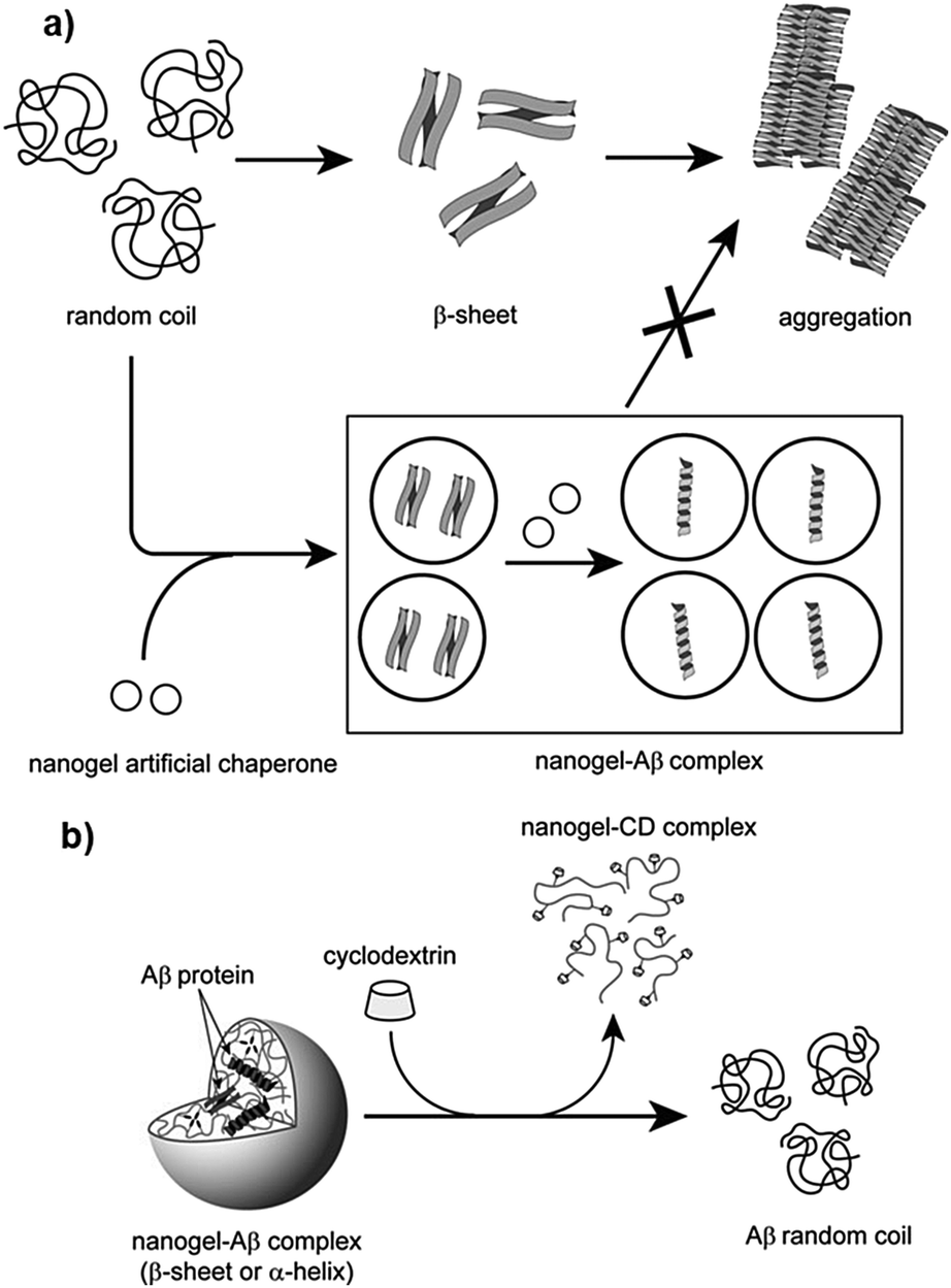 Review of the current state of protein aggregation inhibition from a ...