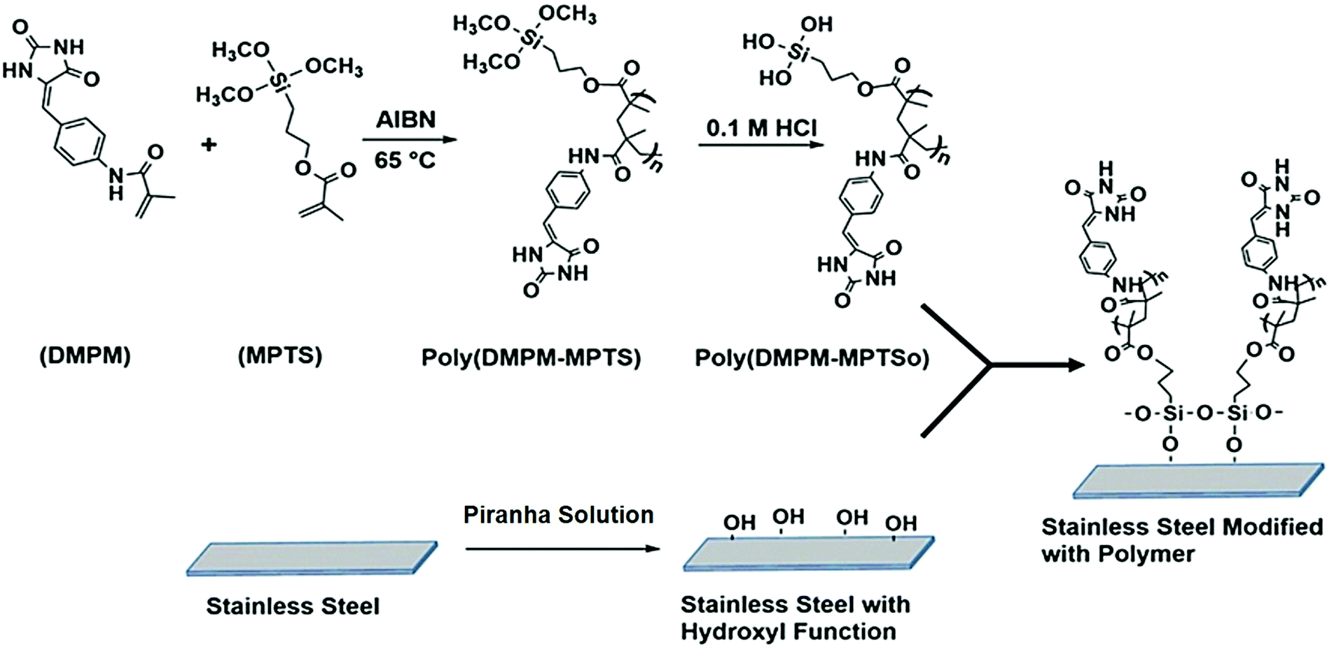 Durable polymeric N -halamine functionalized stainless steel surface ...