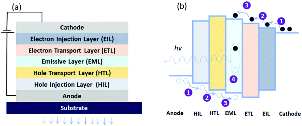 Organic light emitting diodes (OLEDs) with slot-die coated functional ...