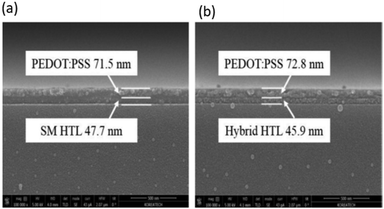 Organic light emitting diodes (OLEDs) with slot-die coated functional ...