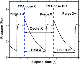 Analysing trimethylaluminum infiltration into polymer brushes using a ...