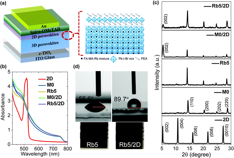 Unraveling the compositional heterogeneity and carrier dynamics of ...