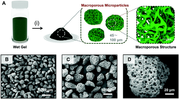 Sol–gel based structural designs of macropores and material shapes of ...