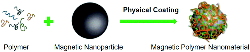 Magnetic polymer nanomaterials for sample pretreatment in proteomics ...