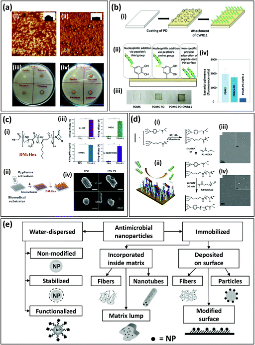 Engineering bioactive synthetic polymers for biomedical applications: a ...