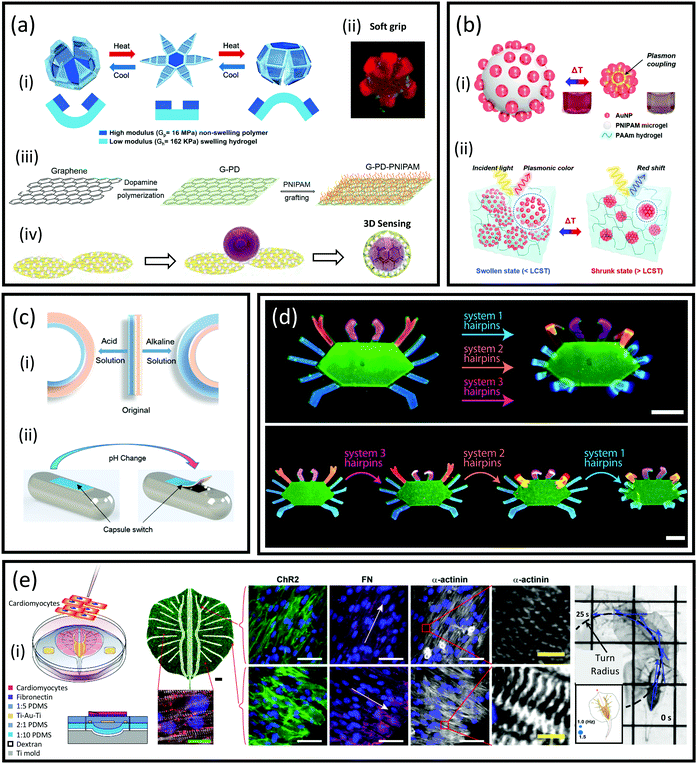 Engineering bioactive synthetic polymers for biomedical applications: a ...