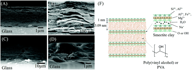 Self-healing polymer–clay hybrids by facile complexation of a ...