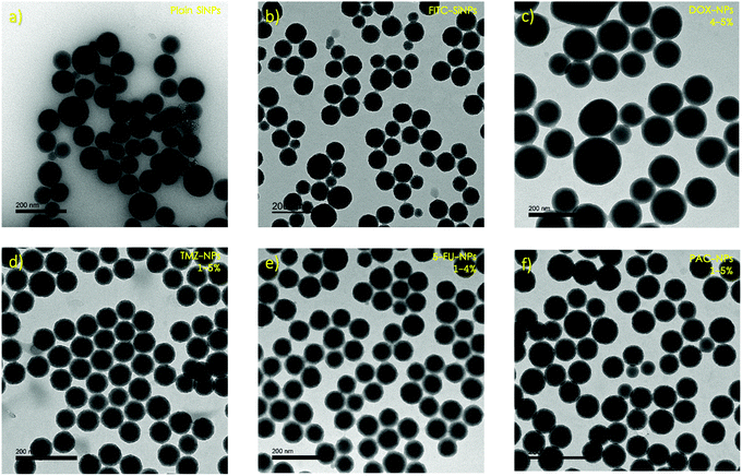 Nanoparticle-infused-biodegradable-microneedles as drug-delivery ...
