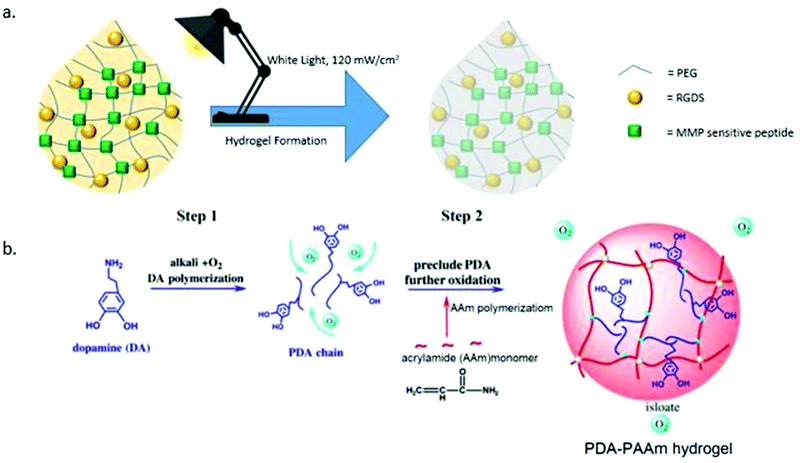 Recent advances in the synthesis of smart hydrogels - Materials ...