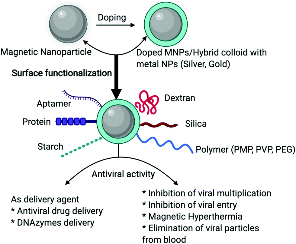 Magnetic nanoparticles: an emerging nano-based tool to fight against ...