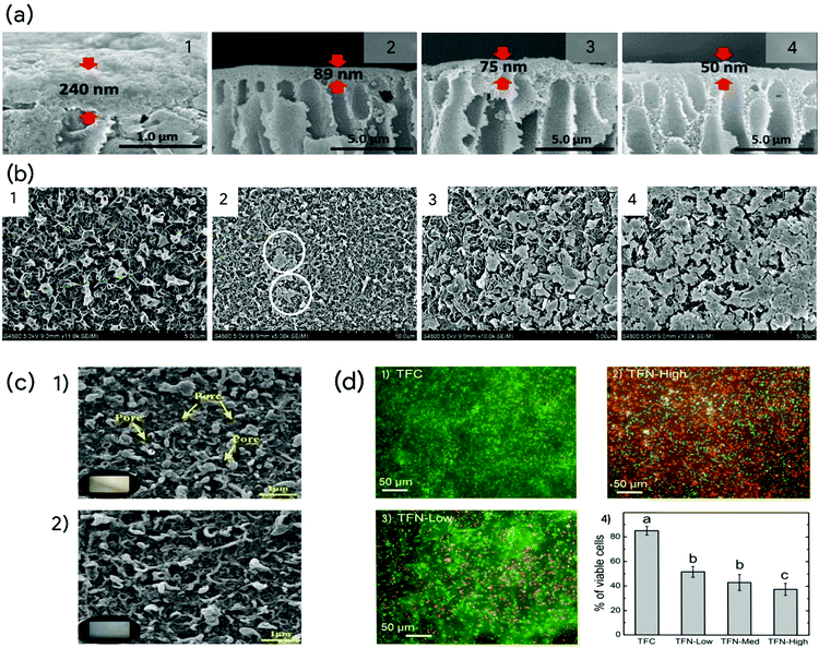 2D nanosheet enabled thin film nanocomposite membranes for freshwater ...