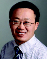 Designing organic solvent separation membranes: polymers, porous ...