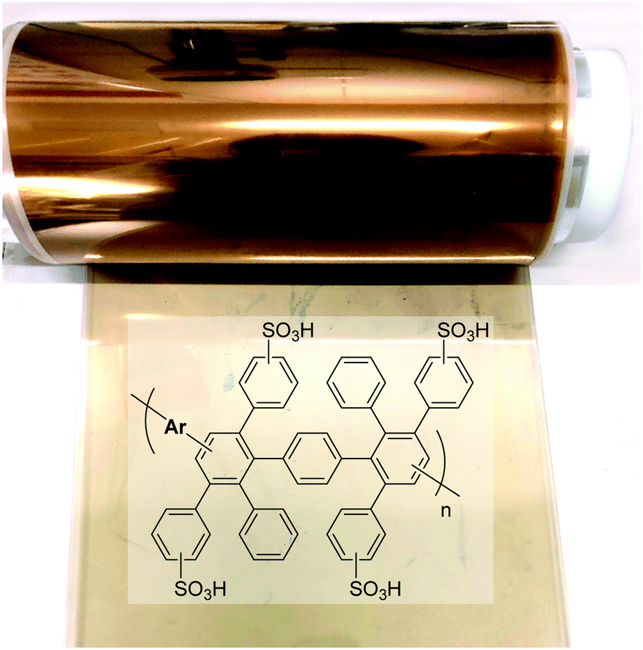 On the evolution of sulfonated polyphenylenes as proton exchange ...