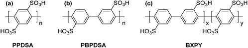 On the evolution of sulfonated polyphenylenes as proton exchange ...