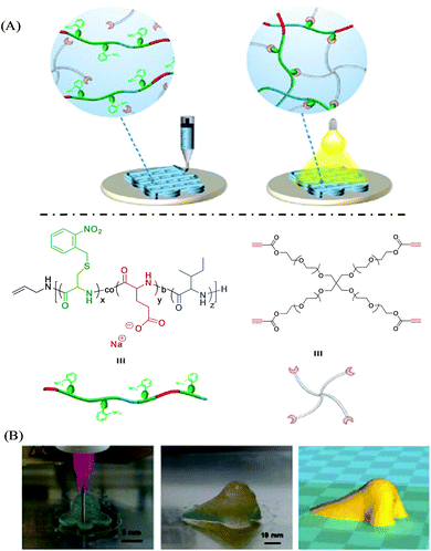 Synthetic polymer-derived single-network inks/bioinks for extrusion ...