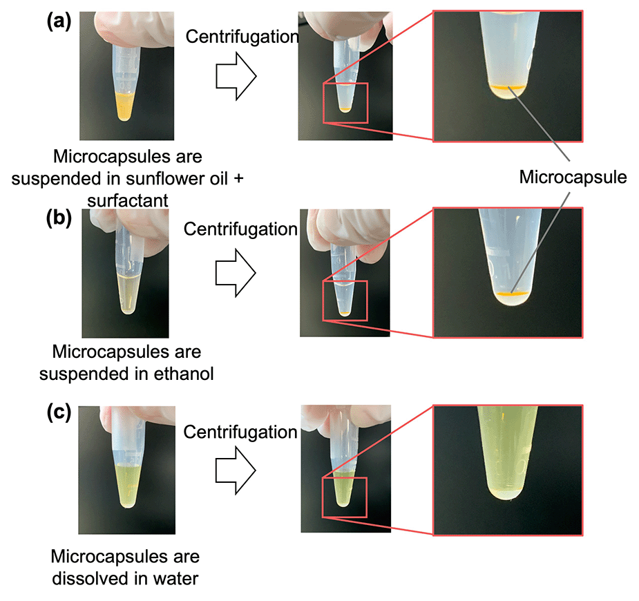 Monodispersed sodium hyaluronate microcapsules for transdermal drug ...