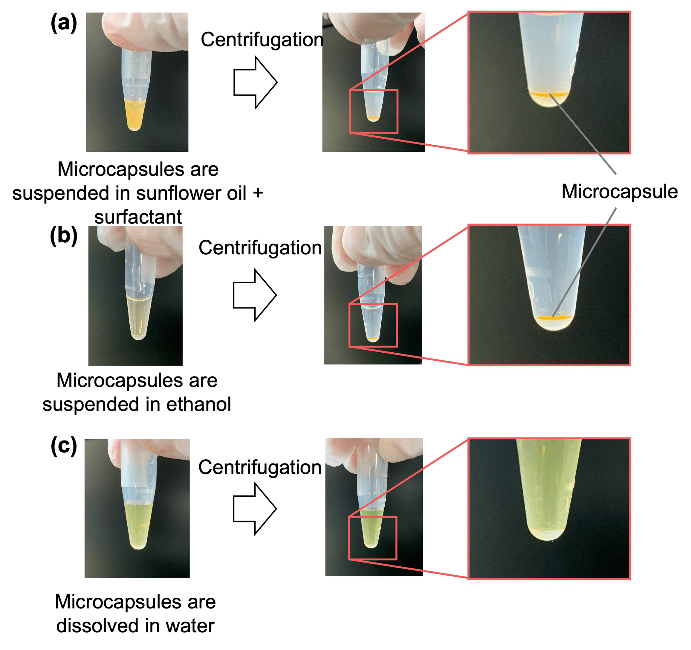 Monodispersed sodium hyaluronate microcapsules for transdermal drug ...