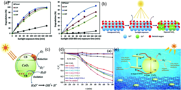 Crystal facet and surface defect engineered low dimensional CeO 2 (0D ...