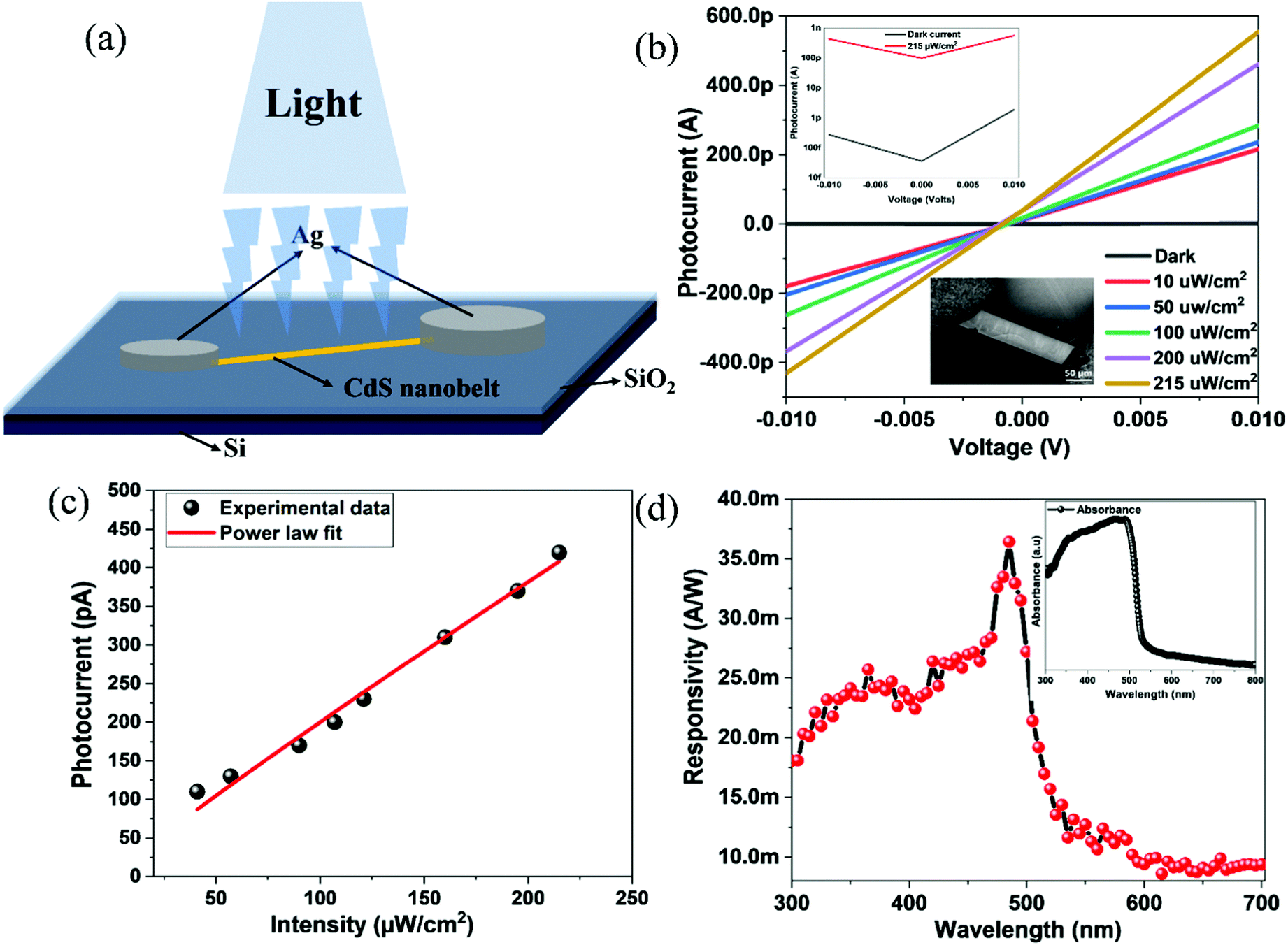 CdS nanobelt-based self-powered flexible photodetectors with high ...