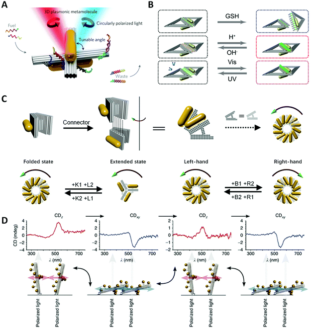 Progress and perspective on chiral plasmonic nanostructures enabled by ...