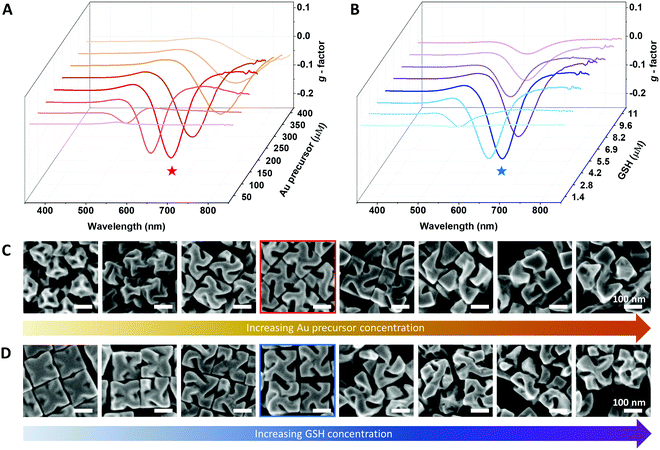 Controlling the size and circular dichroism of chiral gold helicoids ...