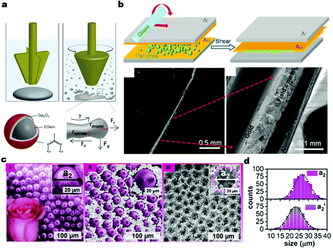 Functional liquid metal nanoparticles: synthesis and applications ...