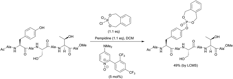 Recent advances in synthetic and medicinal chemistry of phosphotyrosine ...