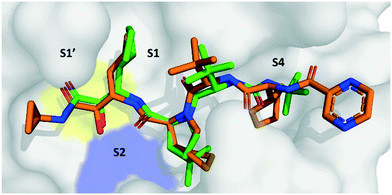 Repurposing the HCV NS3–4A protease drug boceprevir as COVID-19 ...