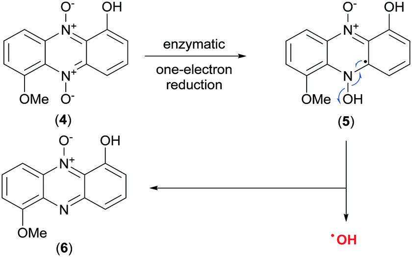 New prodrugs and analogs of the phenazine 5,10-dioxide natural products ...
