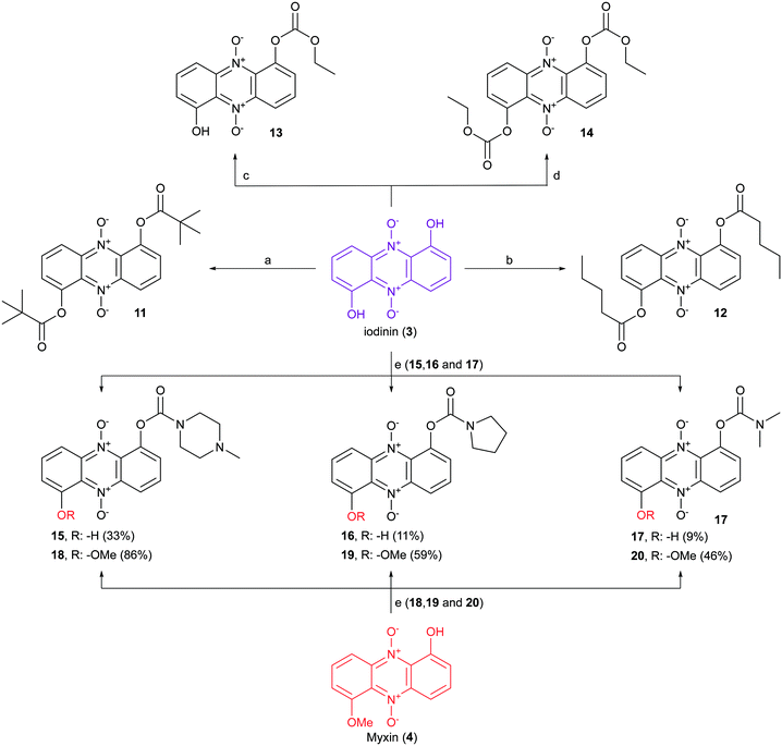 New prodrugs and analogs of the phenazine 5,10-dioxide natural products ...
