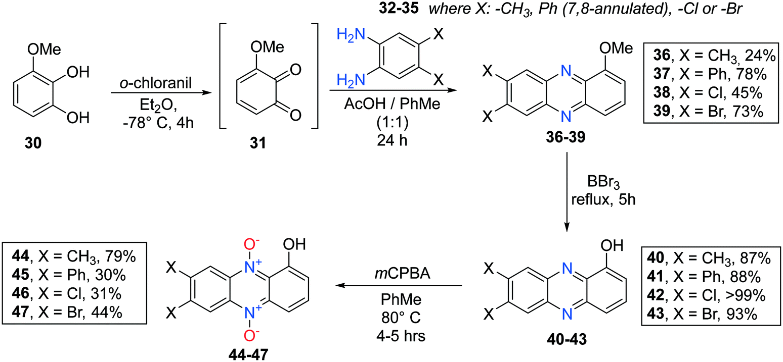 New prodrugs and analogs of the phenazine 5,10-dioxide natural products ...