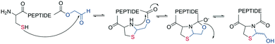 Macrocyclization strategies for cyclic peptides and peptidomimetics ...