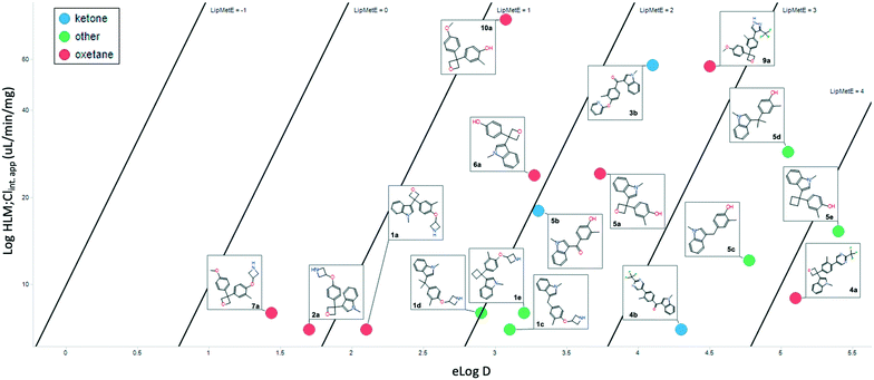 Investigating 3,3-diaryloxetanes as potential bioisosteres through ...