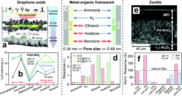 Highly selective gas sensing enabled by filters - Materials Horizons ...